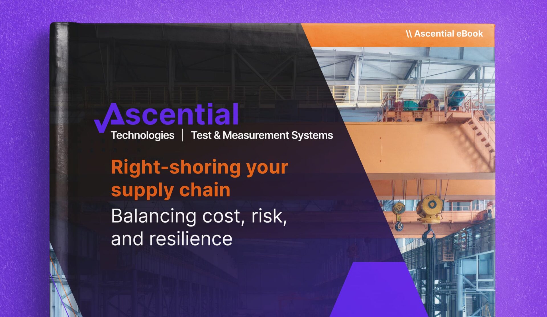 Right-Shoring Your Supply Chain: Balancing Cost, Risk and Resilience ...